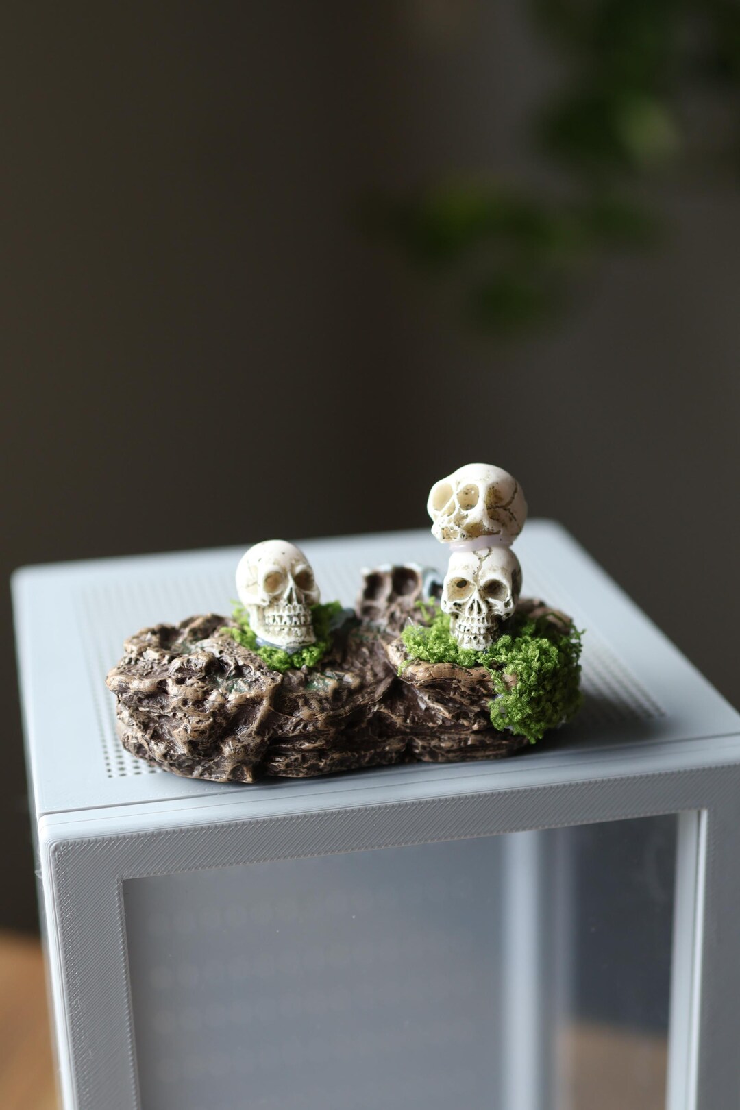 Decorative Terrarium Stone, Spider Habitat Accessories, Gothic ...