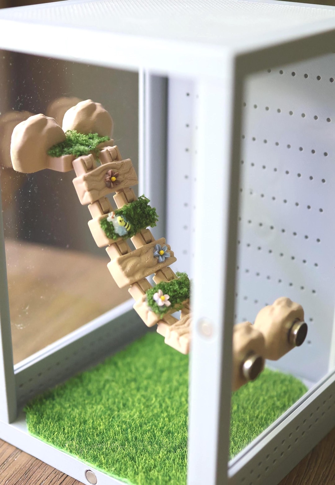 Magnetic Log Bridge for Jumping Spiders With Flowers and Moss ...