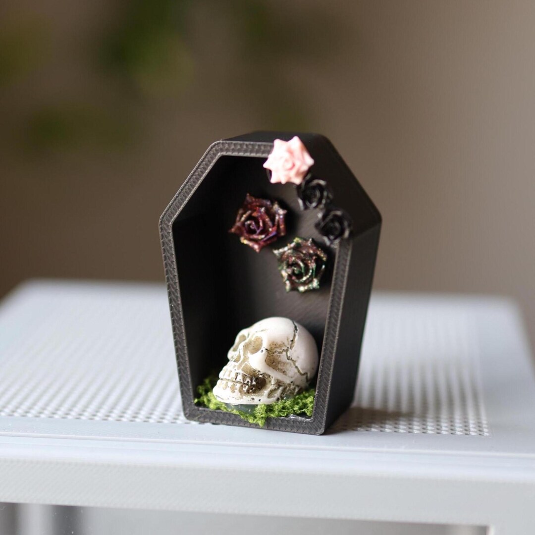 Coffin Hideout for Jumping Spider, Coffin Hide Enclosure, Spood ...