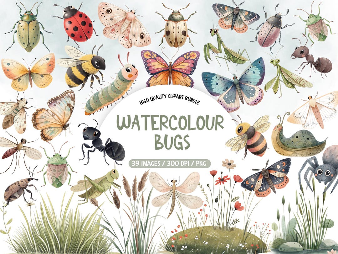 Watercolor Bugs Clipart Bundle – Garden Insect and Butterfly PNG Set ...