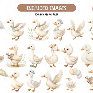 Watercolor Goose Clipart, Birthday Goose Clipart, Goose Baby Birthday ...