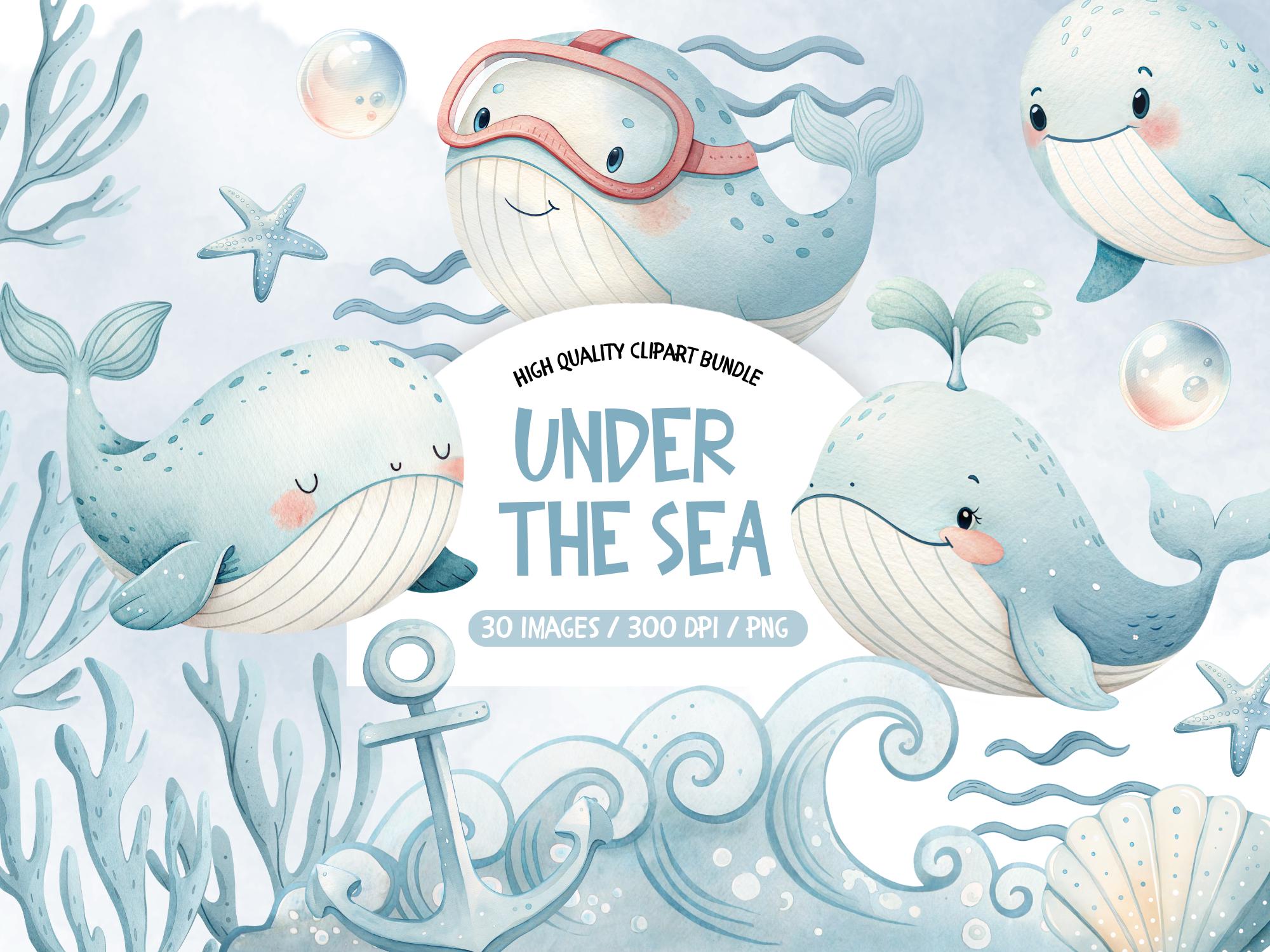 Whale Watercolor Clipart, Under the Sea Animal Graphics (digital ...