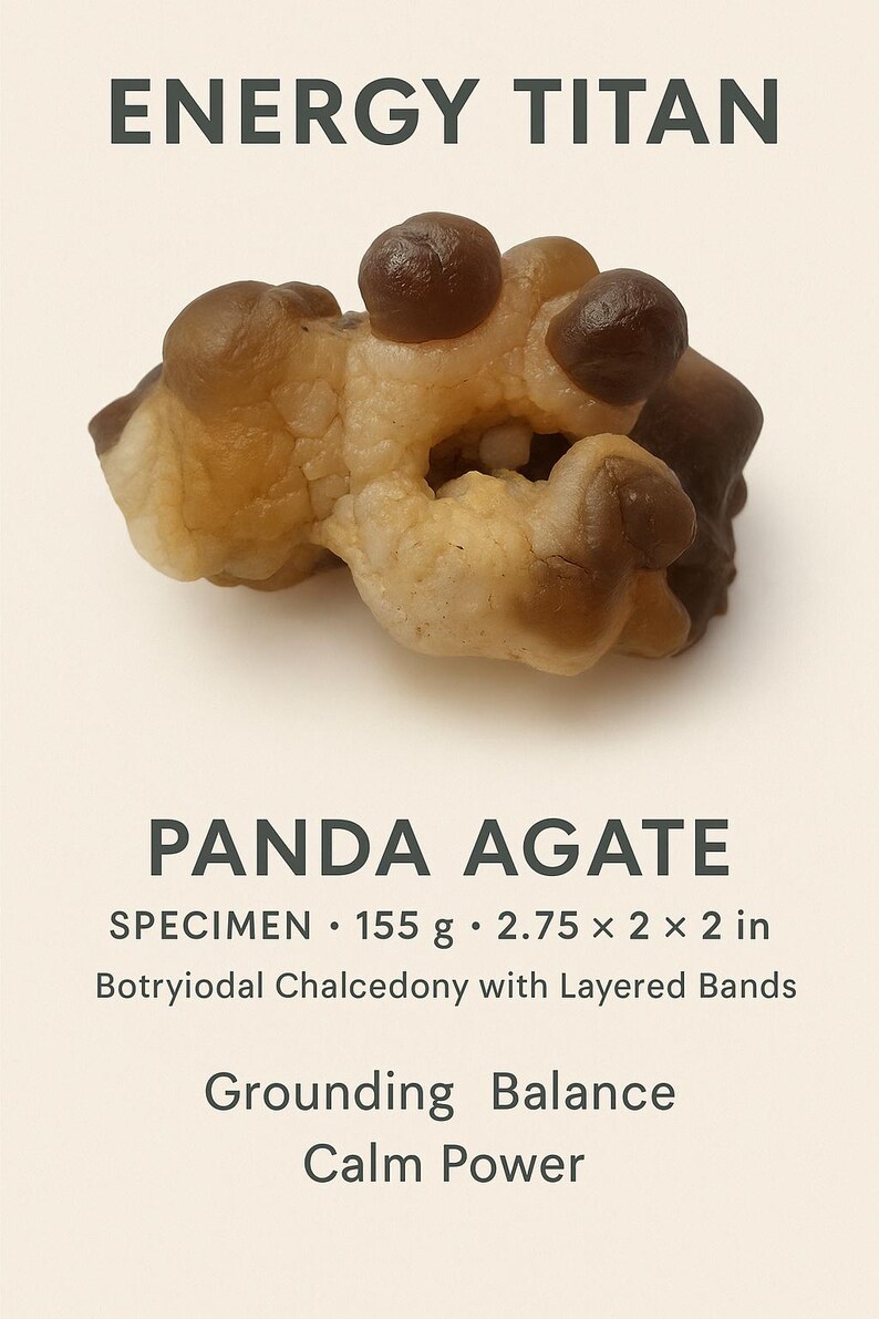 Panda Agate 177 G • 3×2×2 in • Botryoidal Chalcedony With Druzy Cavity ...
