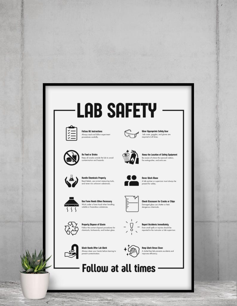 Lab Safety Poster Digital Download | Science Classroom Print | STEM Lab ...