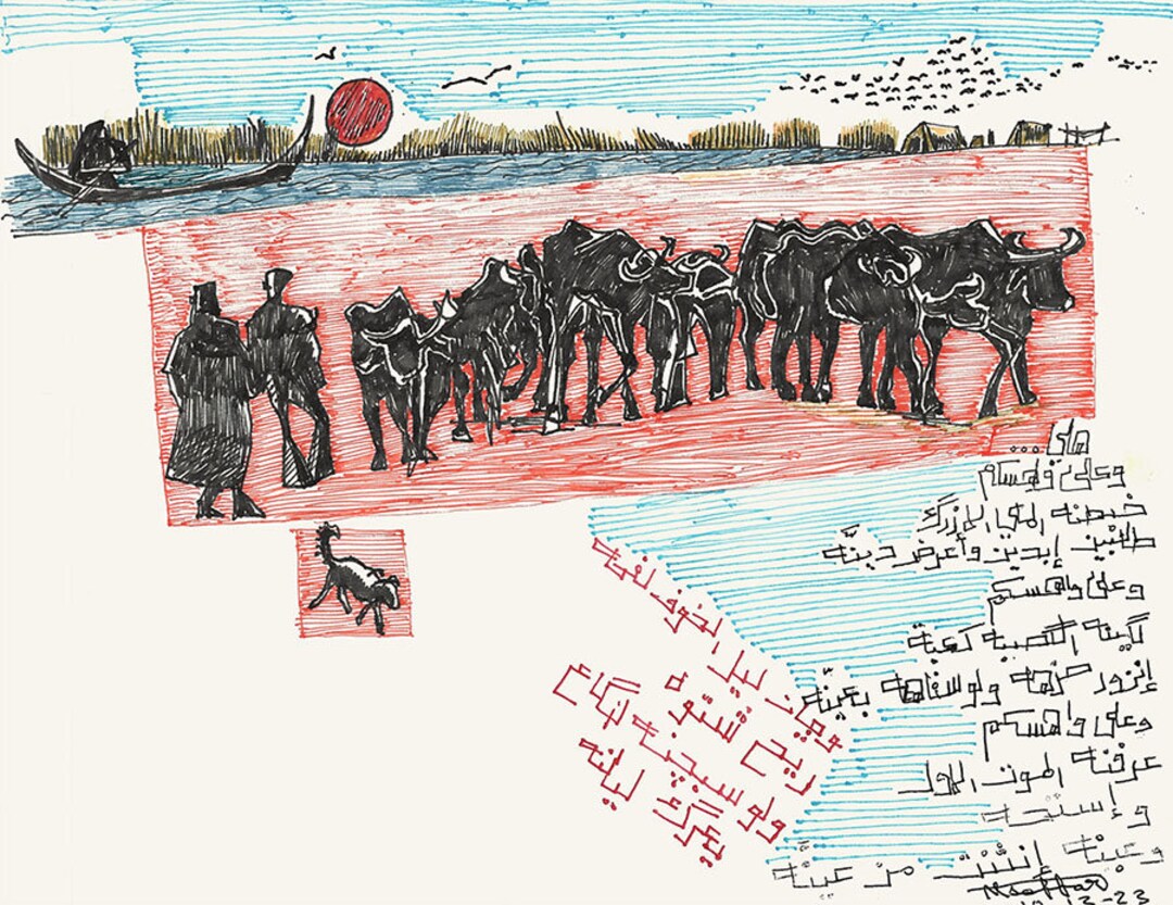 8.5x11 Original Drawing, Water Buffalo, Iraq Marshes, Southern Iraq ...