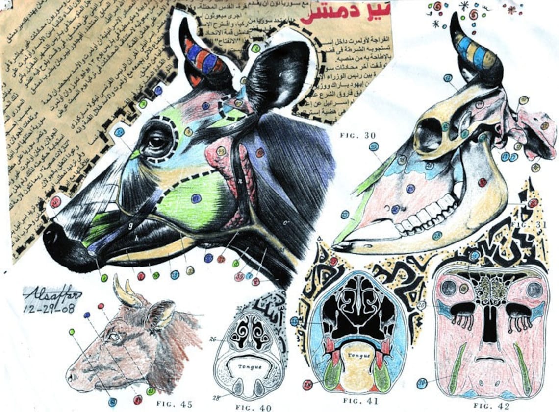 8.5x11 in Print, Cow in Arabic-set of 2 Prints, Cow, Animals - Etsy