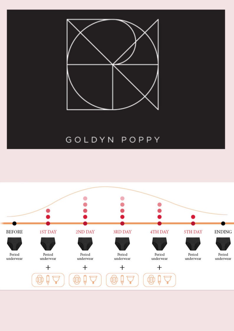 4 Layer 3 Pack Reusable Mid-rise Leakproof Panties for Heavy Periods ...