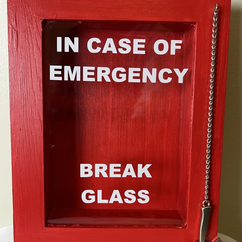 In Case of Emergency Break Glass - Etsy