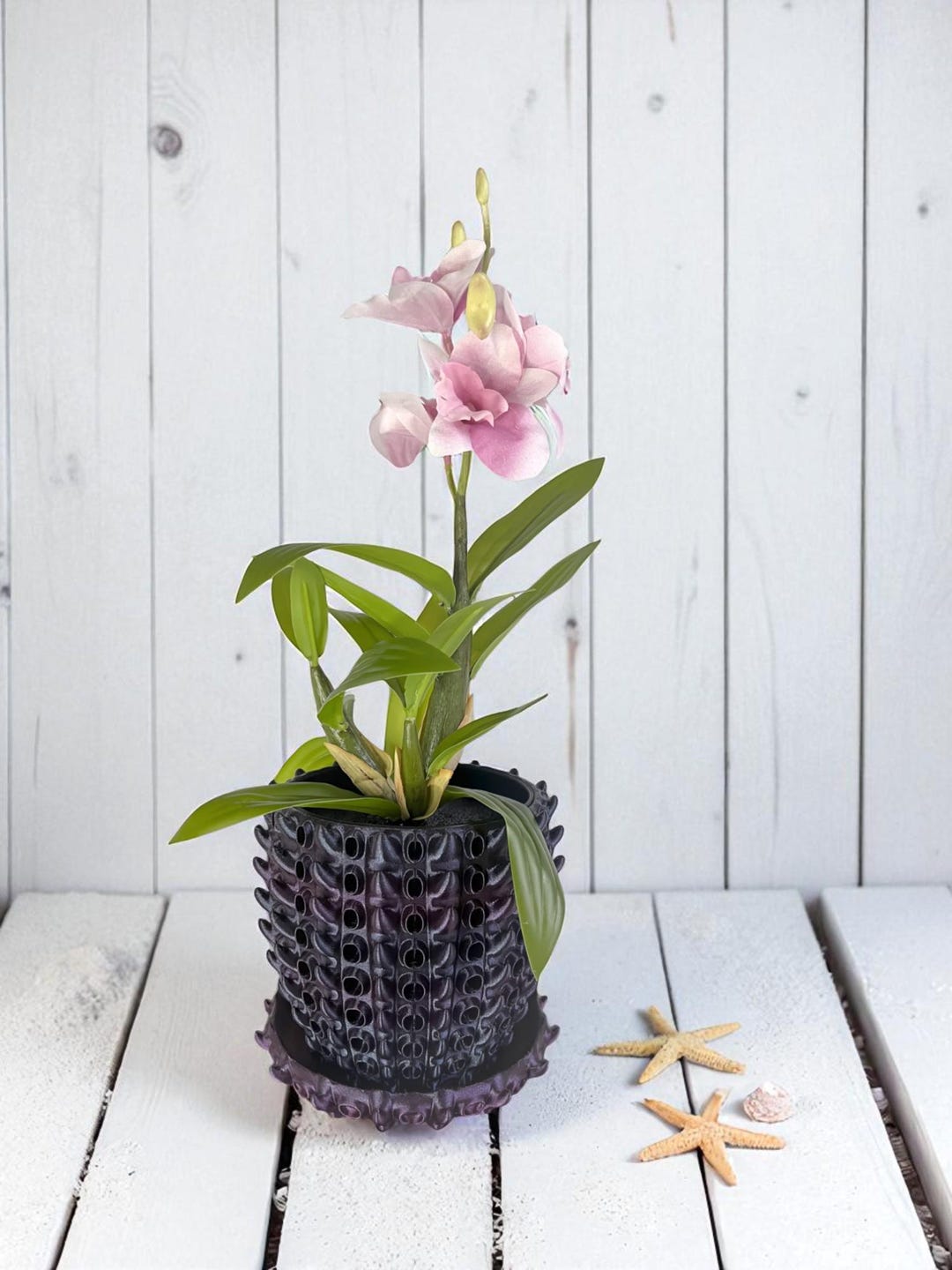3D Printed Barnacle Plant Pot: Black & Burgundy PLA, Sea Theme Decor - Etsy