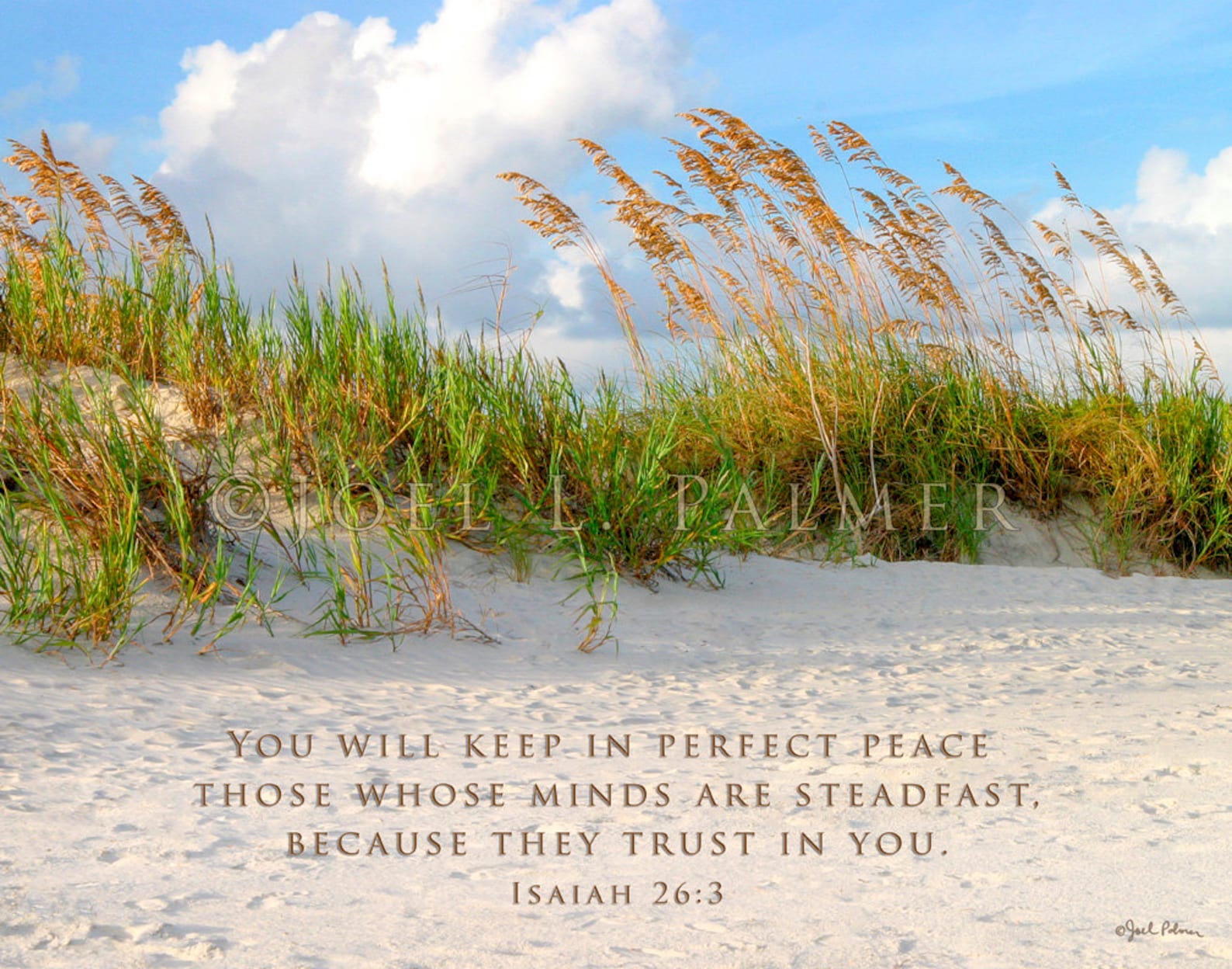 Beach Dunes Coastal Art Bible Scripture Print Isaiah 26 3 A 11x14 Color ...
