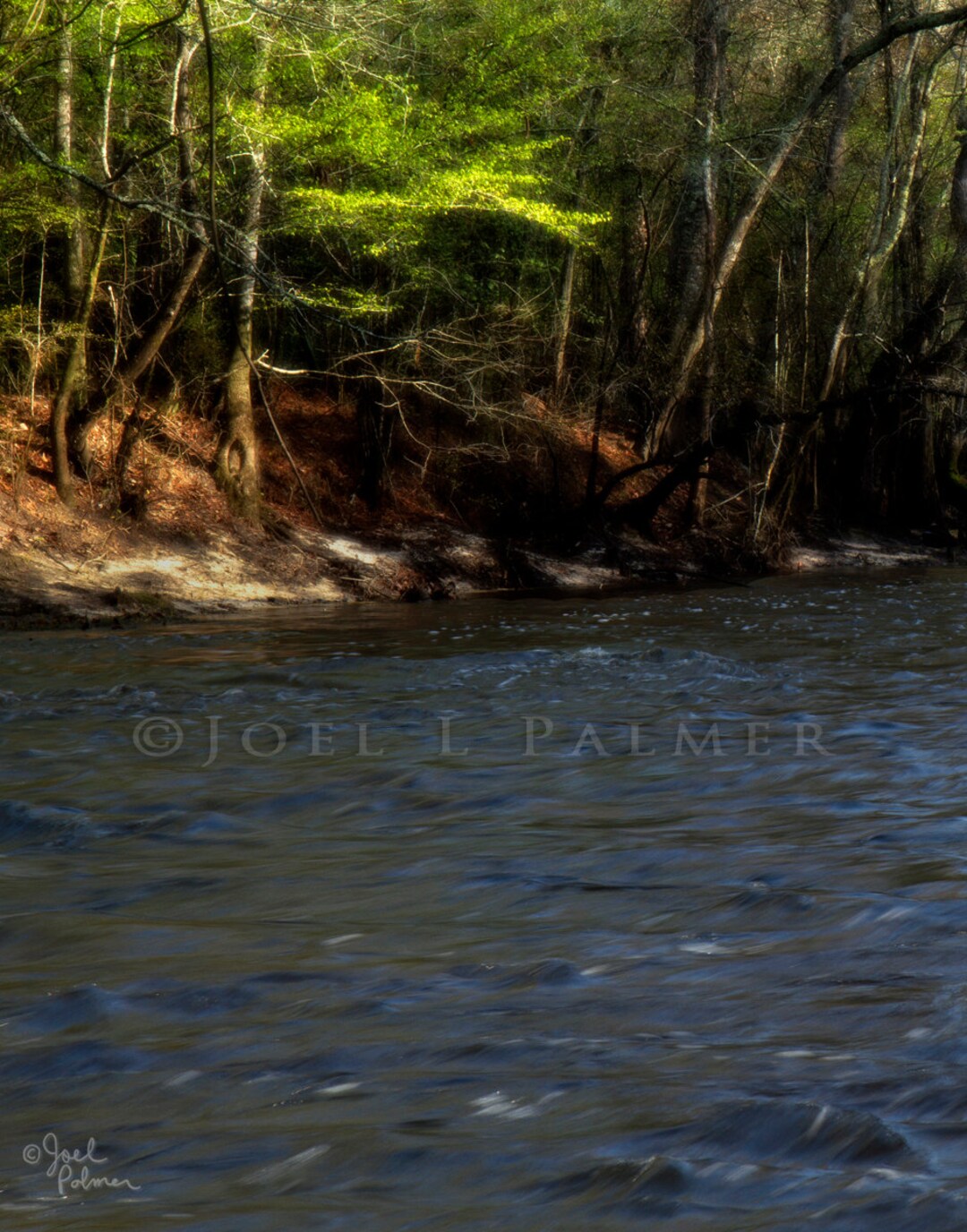 River Art Photography Print Peaceful Natural Scene Ohoopee River Water ...