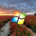 Windows 7 Alternative Wallpapers Collection - Etsy