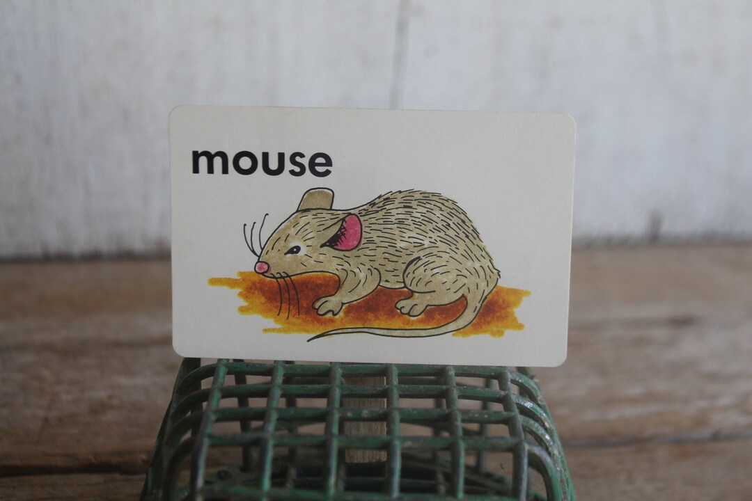 Vintage 1970s Flash Card // Mouse - Etsy