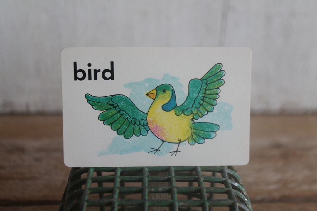 Vintage 1970s Flash Card // Bird - Etsy