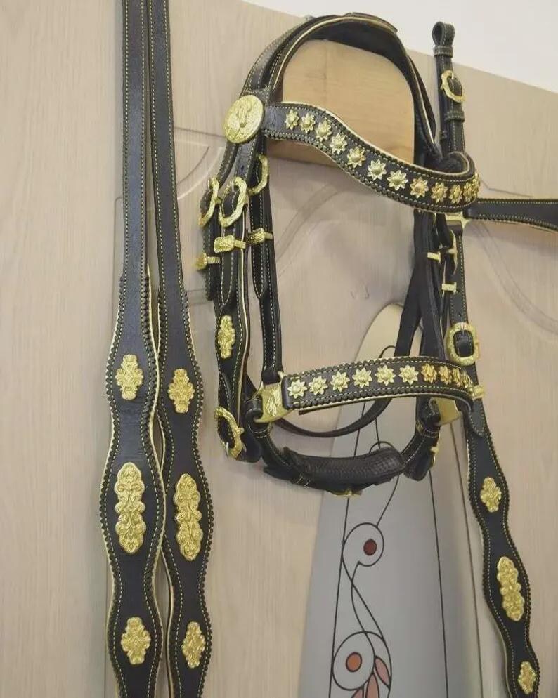 Handmade Fancy Horse Bridle, Reins and Breastplate With 24K Gold ...