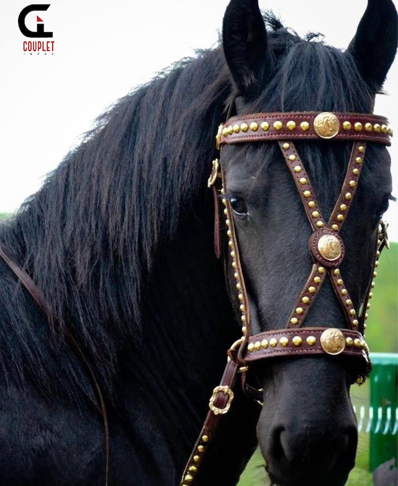 Handmade Fancy Horse Bridle and Reins Handcrafted Fancy Parade Bridle ...