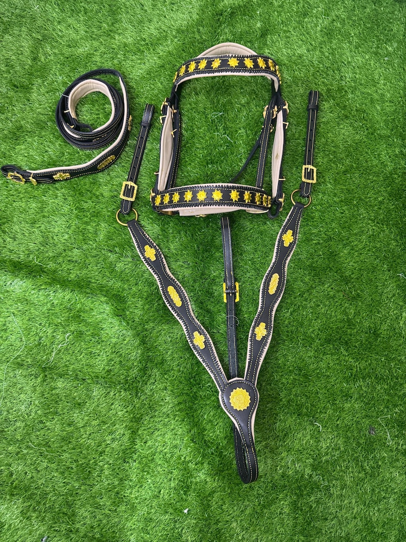 Handmade Fancy Horse Bridle, Reins and Breastplate With 24K Gold ...