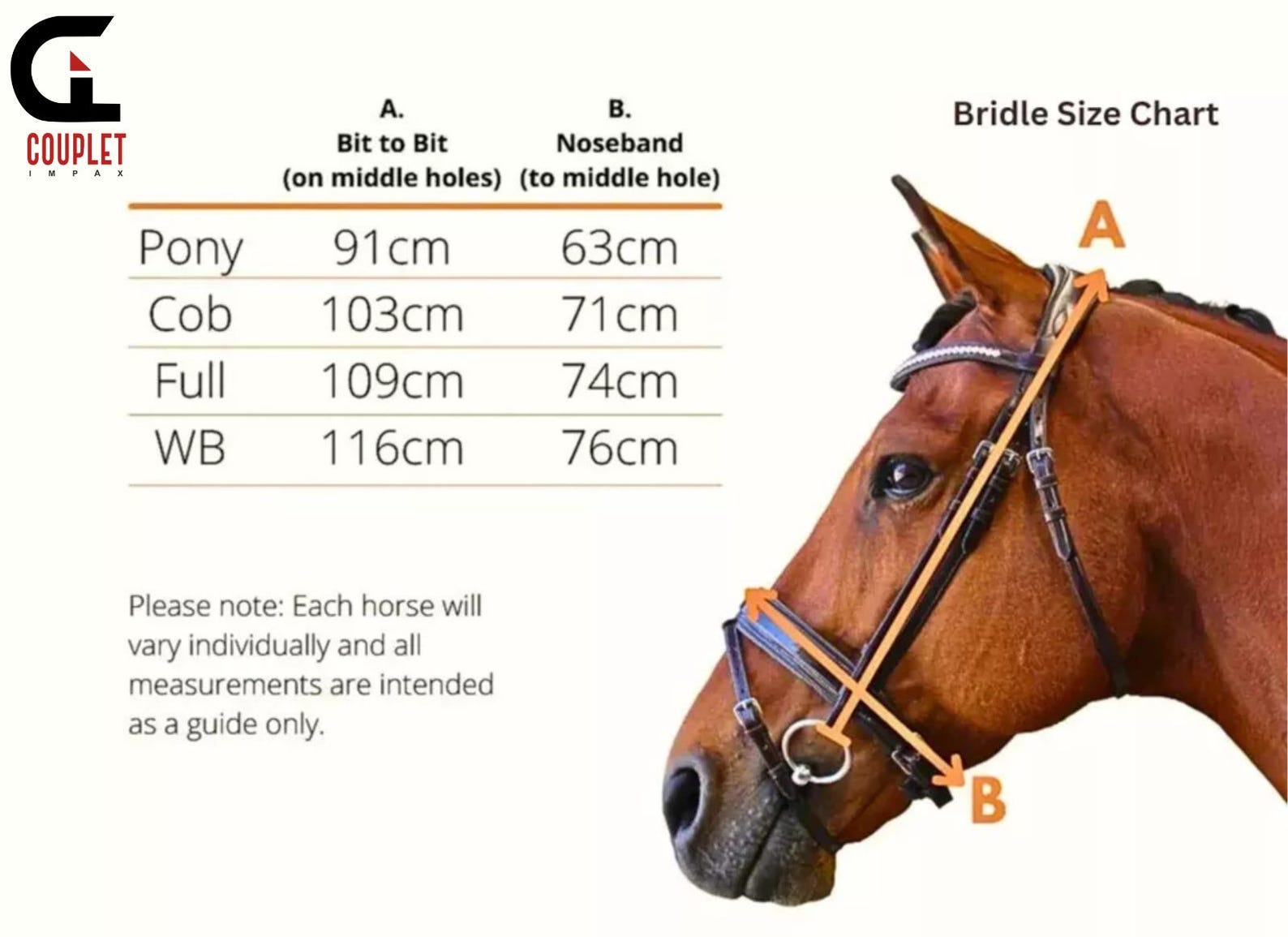 Handmade Fancy Horse Bridle, Reins and Breastplate With 24K Gold ...