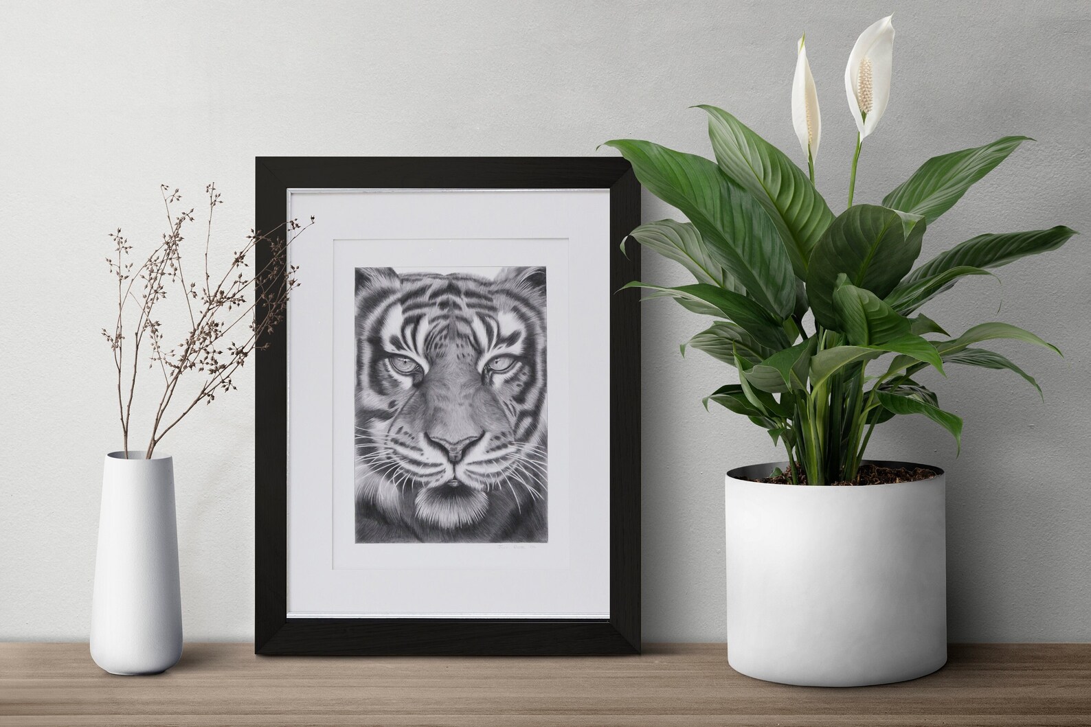 Indian Bengal Tiger Print Big Cat Pencil Drawing A3 Size Based on ...