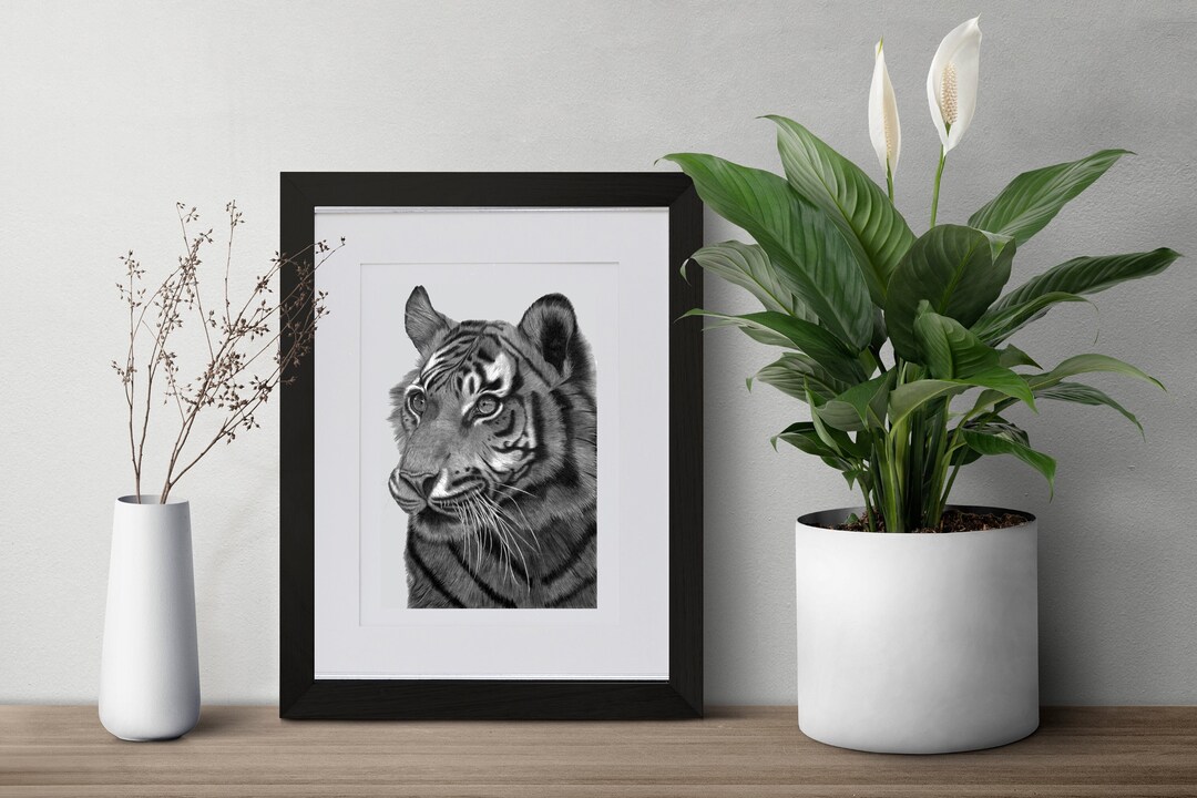 Sumatran Tiger Print Based on the Original Pencil Drawing by Artist ...