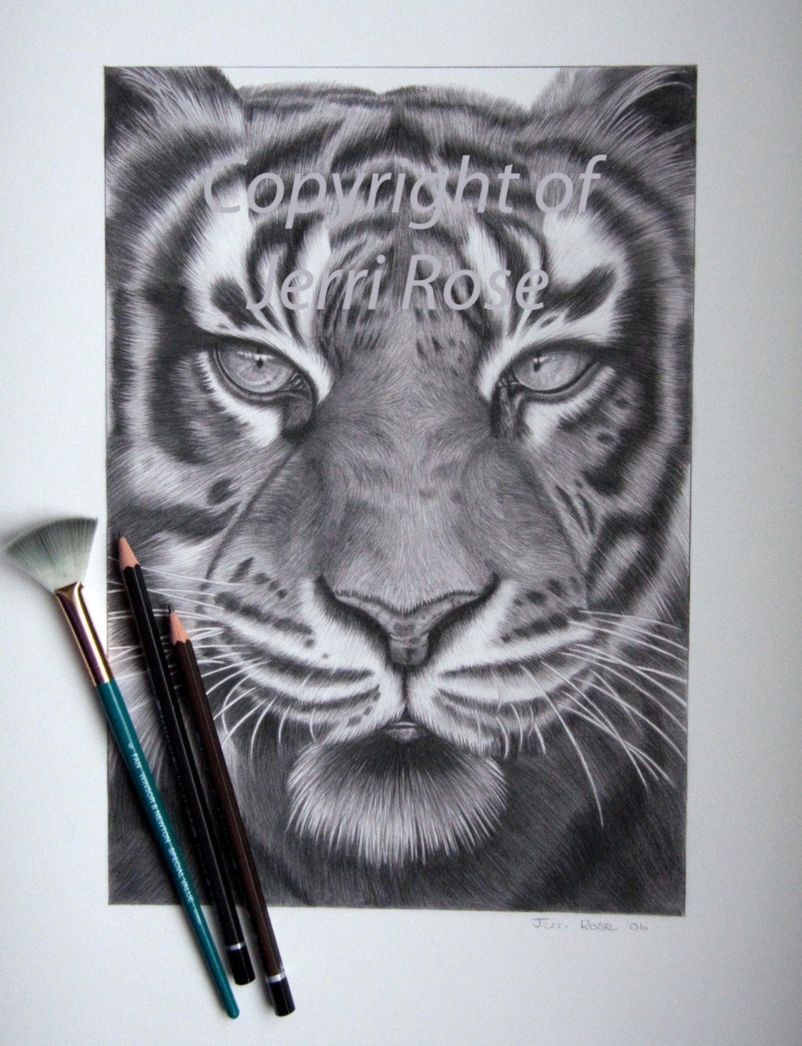 Indian Bengal Tiger Print Big Cat Pencil Drawing A3 Size - Etsy
