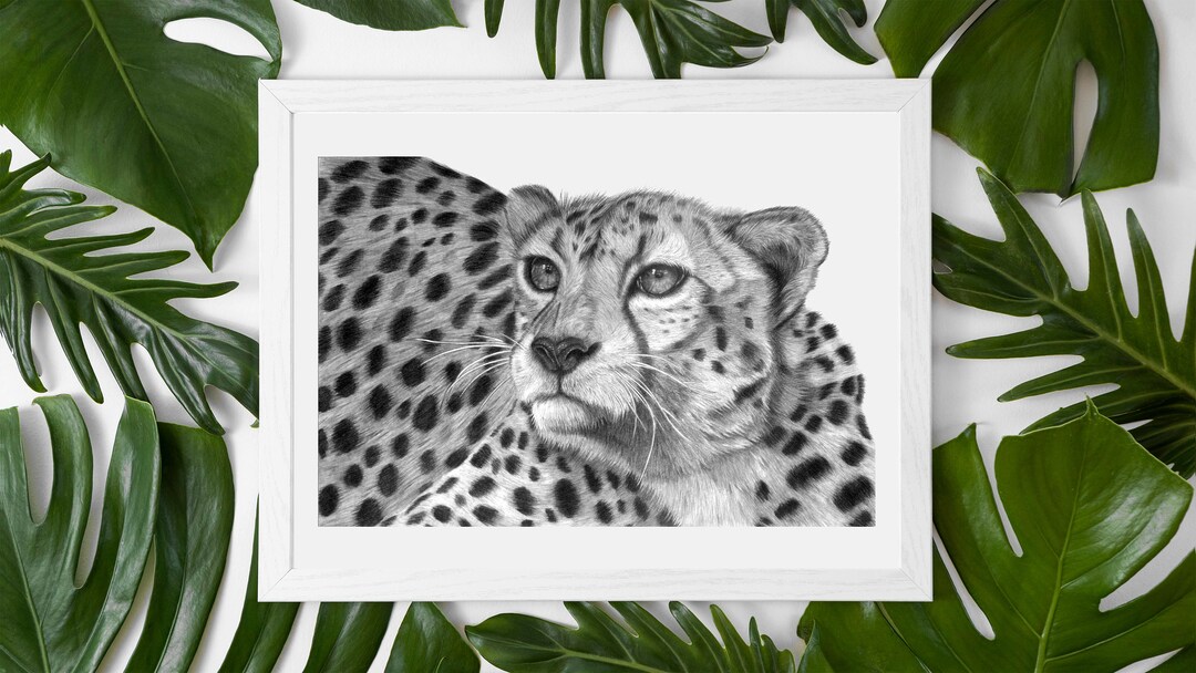 Cheetah Print Big Cat Pencil Drawing A3 Size Based on Original Artwork ...