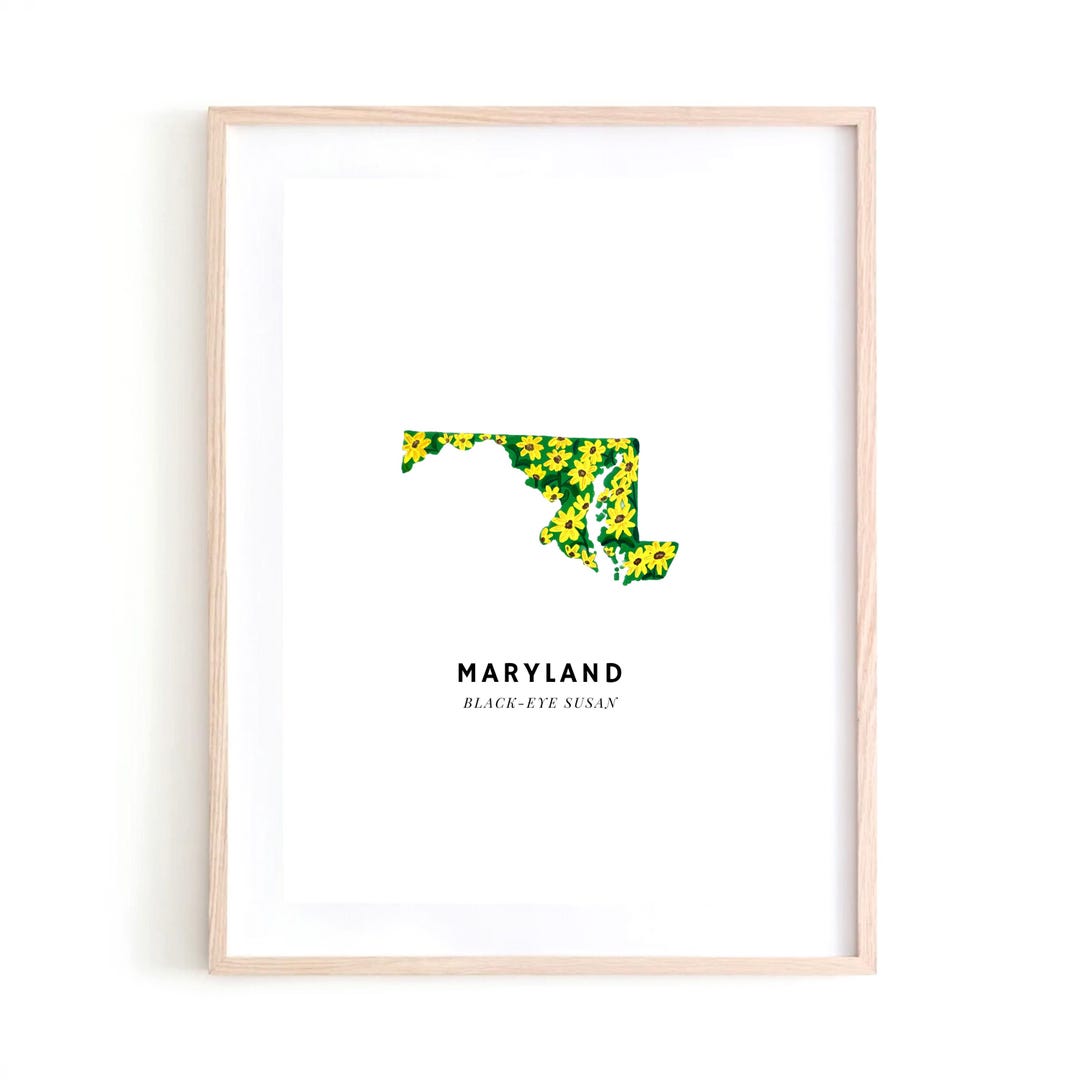 Maryland State Flower Art Print - Etsy