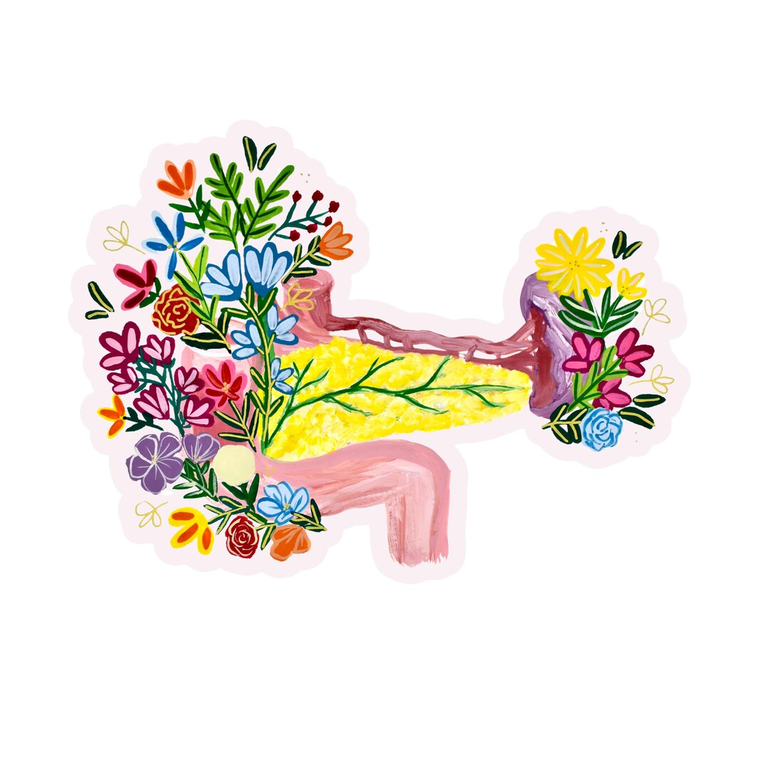 Pancreas Sticker Waterproof Quality Vinyl Matte - Etsy