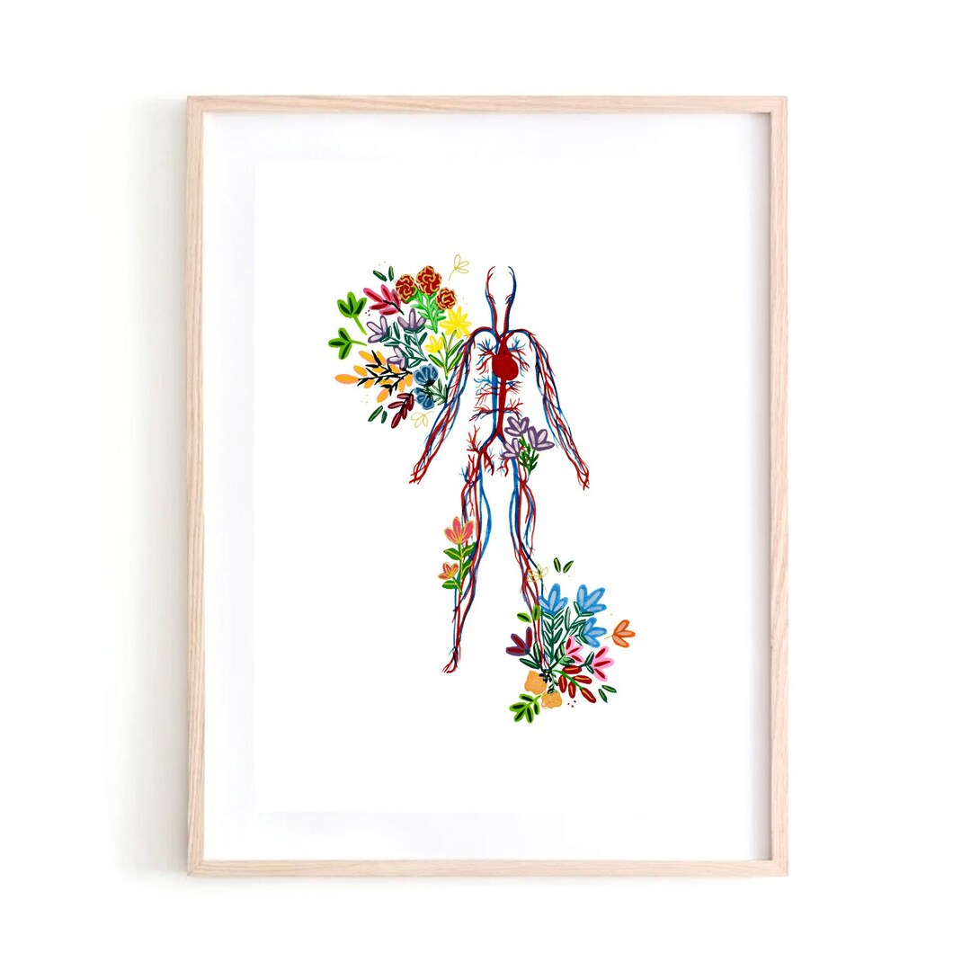 Circulatory System Art Print - Etsy