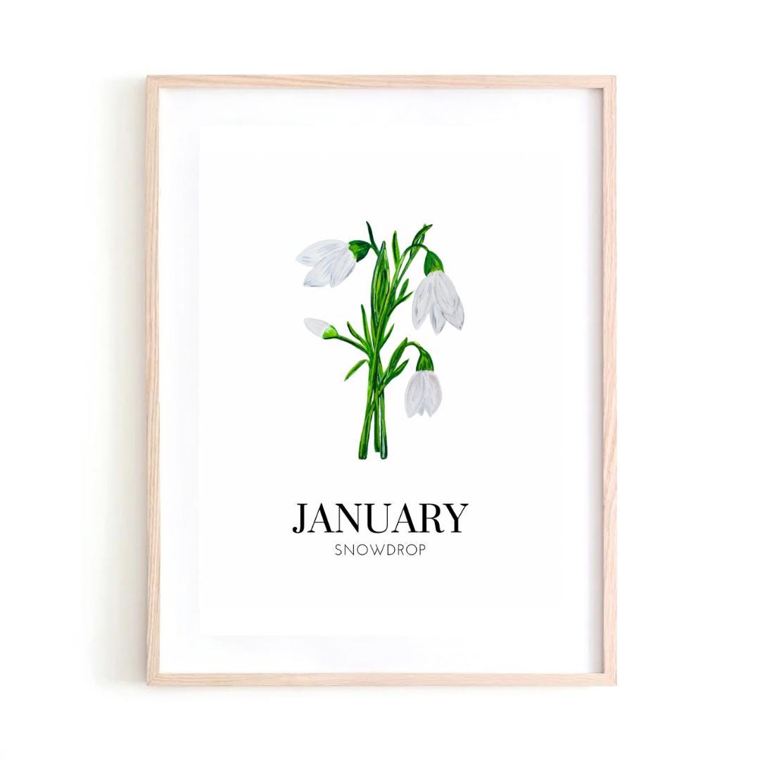 January Snowdrop Art Print - Etsy