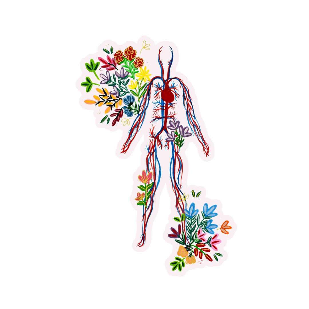 Circulatory System Sticker Waterproof Quality Vinyl Matte - Etsy