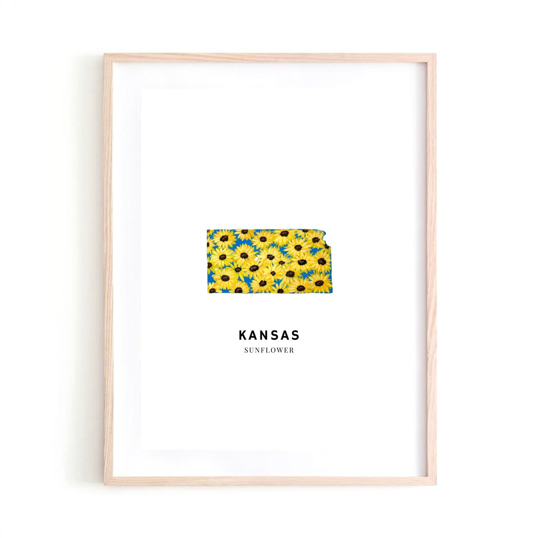 Kansas State Flower Art Print - Etsy