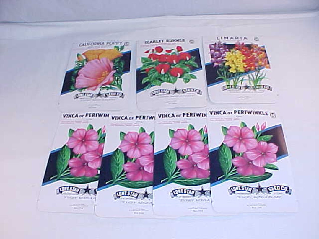 7 Flower Seed Packets Color Lithograph Lone Star Seed Company - Etsy