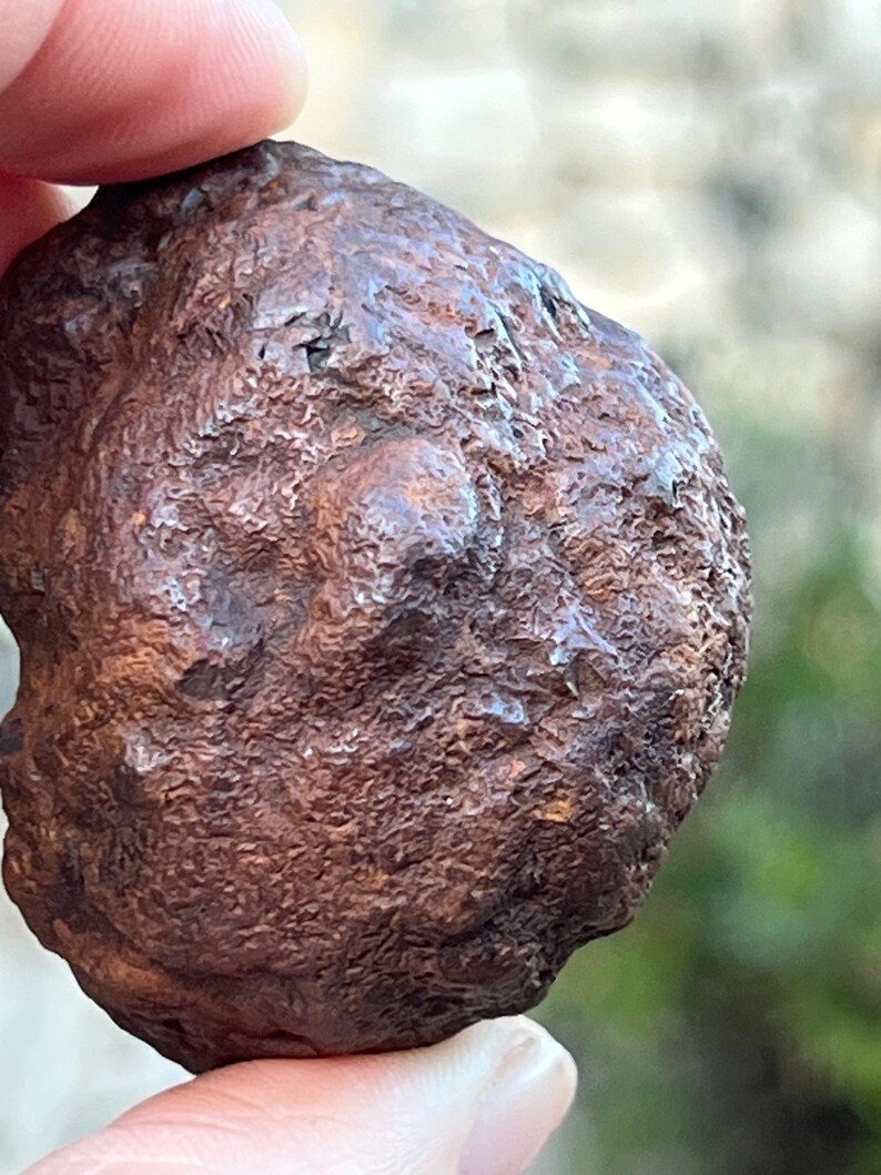 Meteorite Deals %-- SALE-- @ Genuine Raw Martian Meteorite With ...