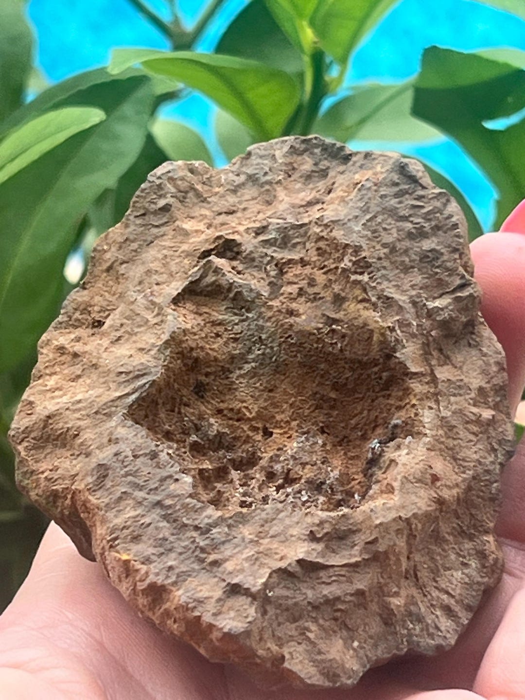 Large Genuine Raw Meteorite !unique Piece Very Rare Find 315 G (HRG015 ...