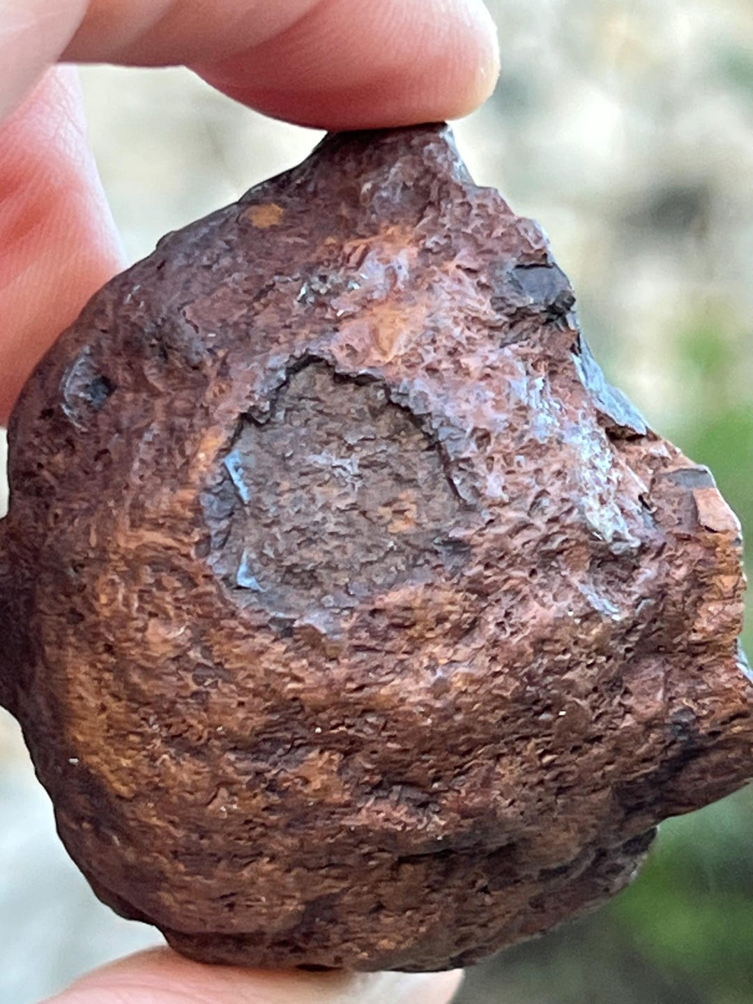 Meteorite Deals %-- SALE-- @ Genuine Raw Martian Meteorite With ...