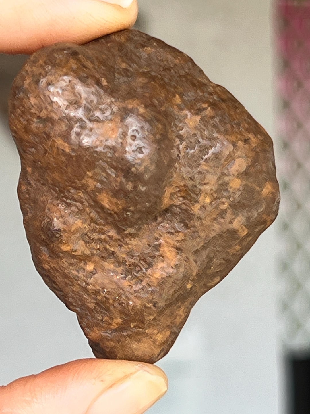 187 G Large Chunk of Genuine Meteorite,raw Natural Space Rock - Etsy