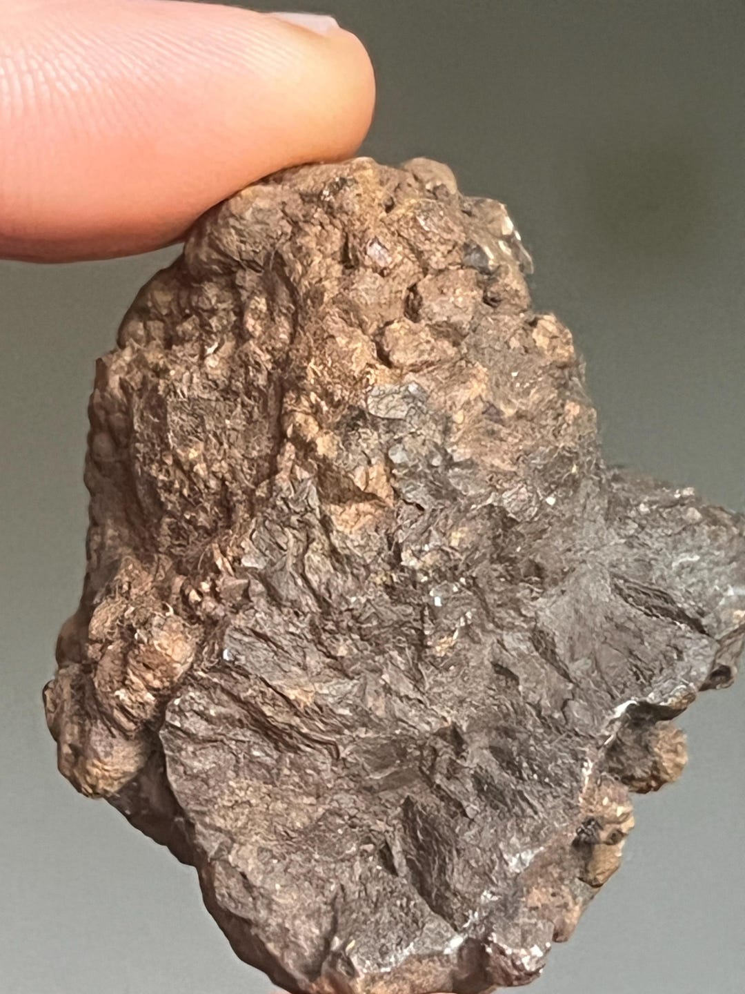 Martian Rock Authentic Piece of Mars Meteorite - Etsy