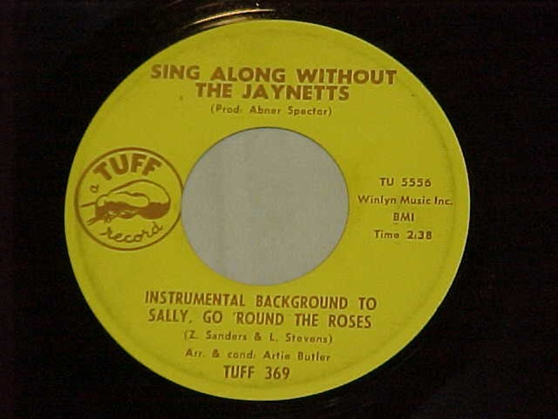 The Jaynetts 45 Vinyl Record Sally Go 'Round The Roses | Etsy