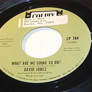 David Jones (from the Monkees) - 45 Vinyl Record - What Are We Going to ...