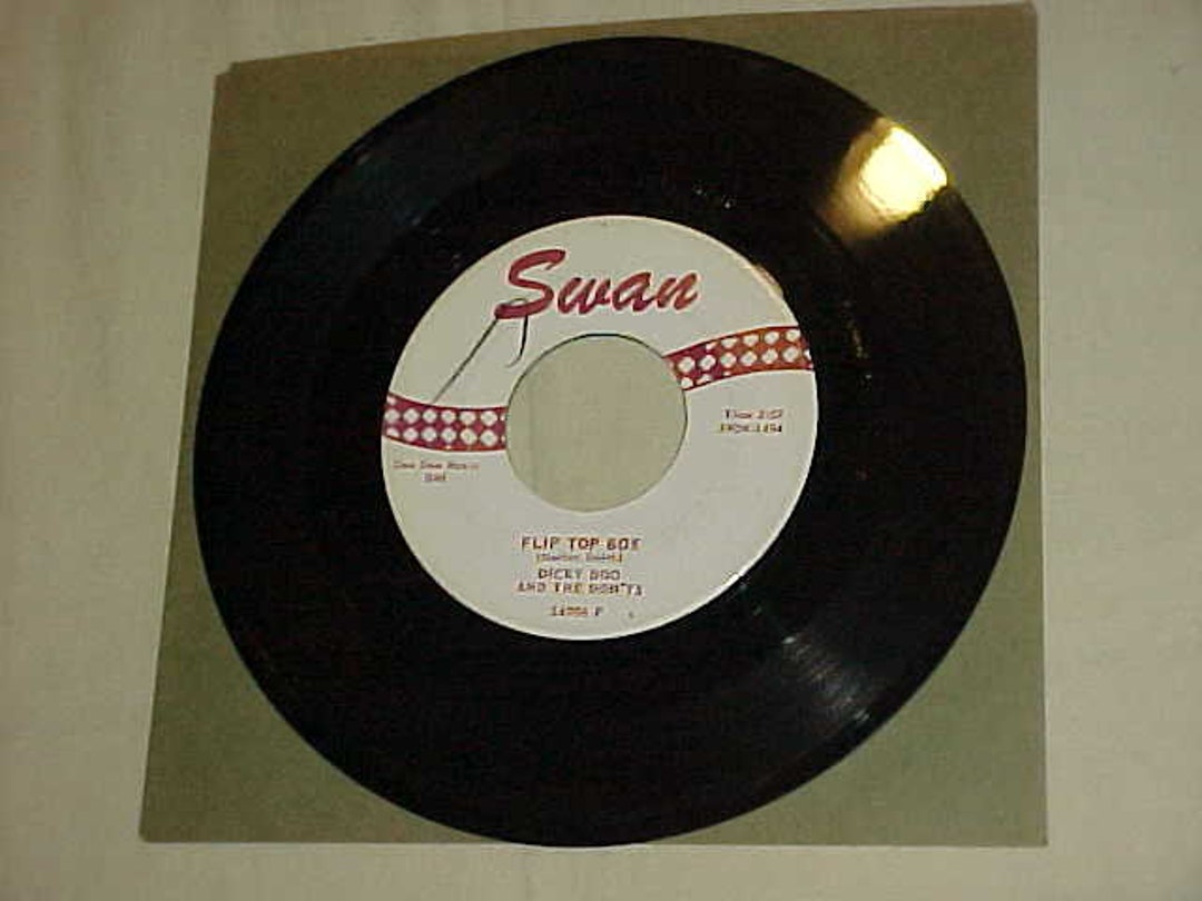 Dicky Doo & the Don'ts 45 Vinyl Record Flip Top Box / Nee Nee Na Na Na ...