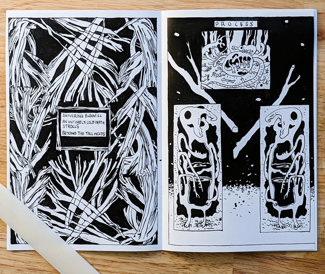 PYXIS 15, an Existential Black and White Art Zine - Etsy