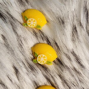 Lemon Refrigerator Magnets: Office & Stationery Decor, Set of 6 - Etsy