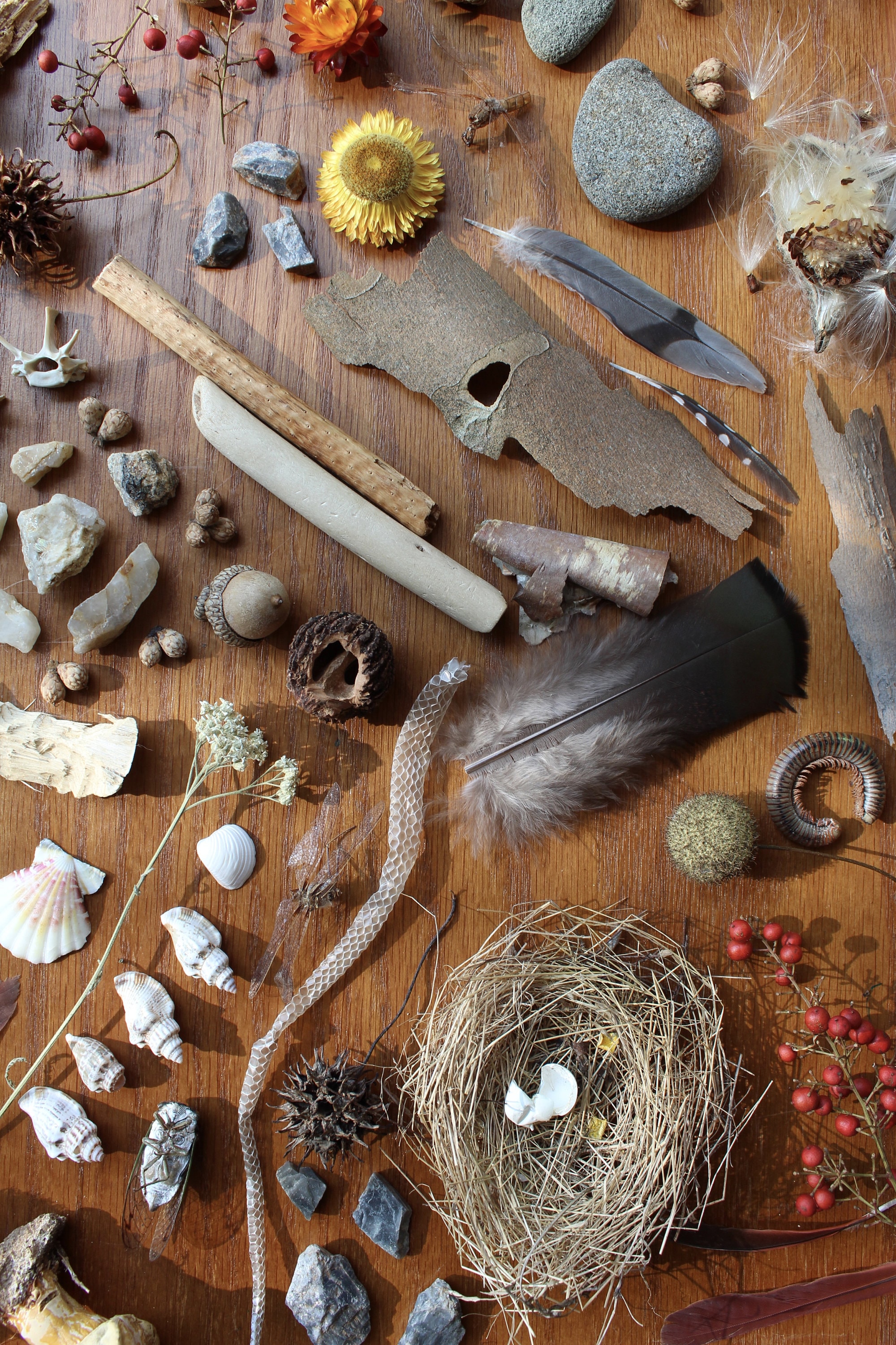 Nature Collection Mystery Box With 13 Items Plants Stones - Etsy UK