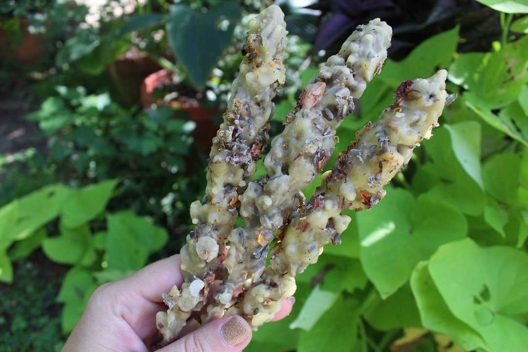 Mullein Torch Ceremonial Outdoor Candle Hag's Torch Beeswax and Floral ...