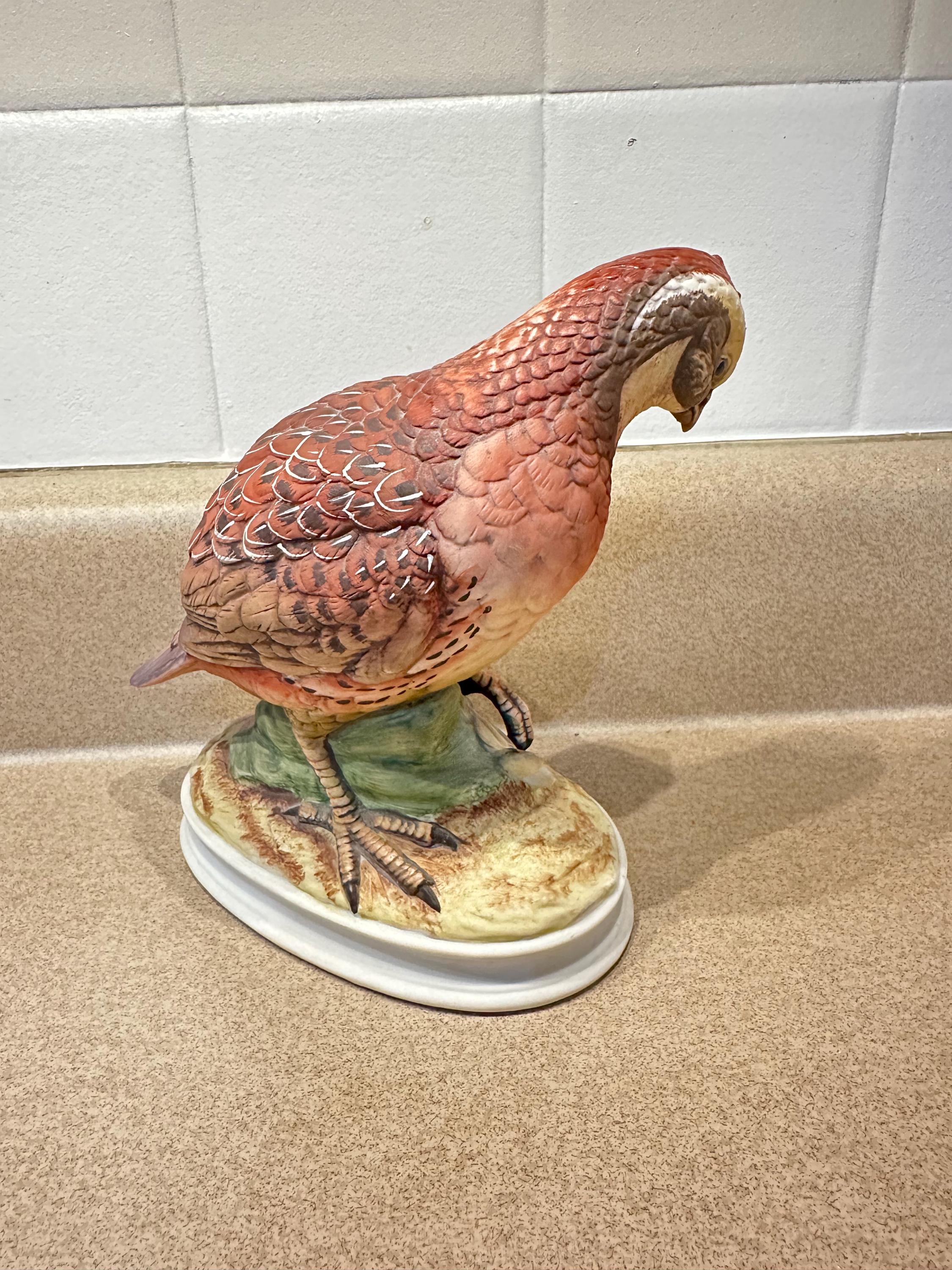 Bobwhite Quail With Chick by Andrea by Sadek - Etsy