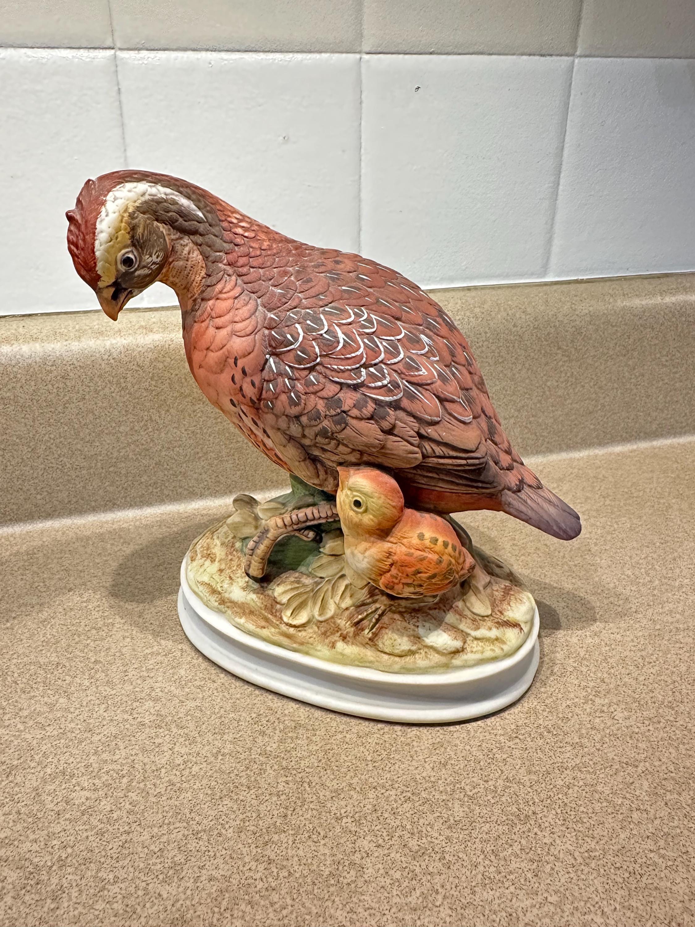 Bobwhite Quail With Chick by Andrea by Sadek - Etsy