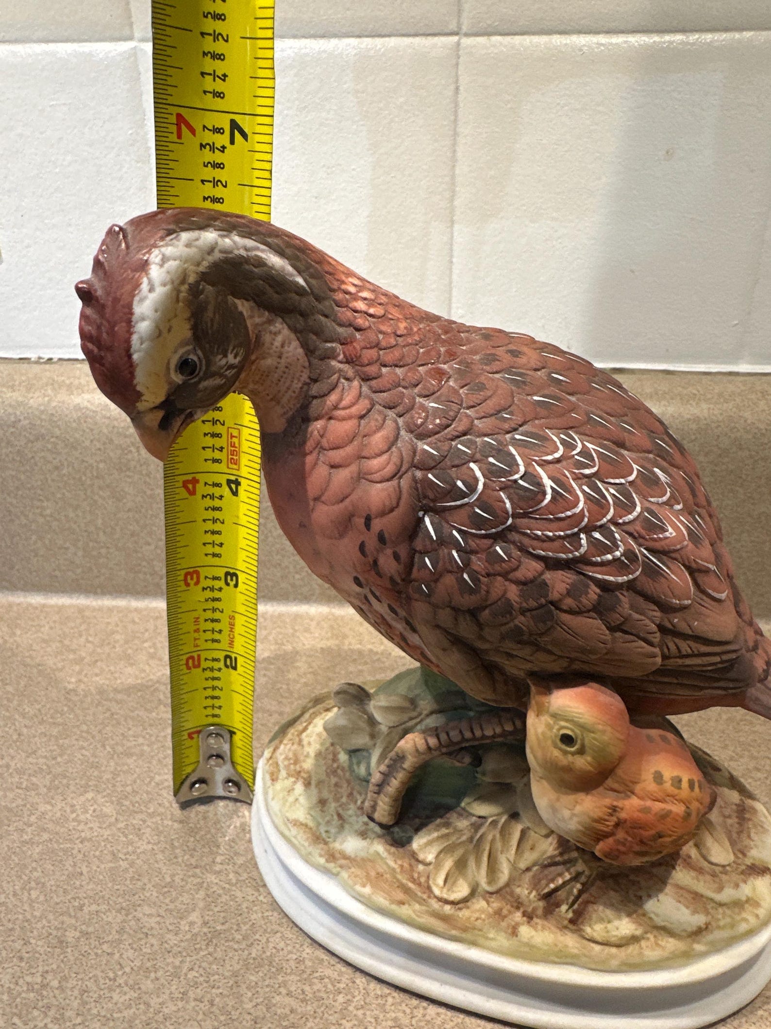 Bobwhite Quail With Chick by Andrea by Sadek - Etsy