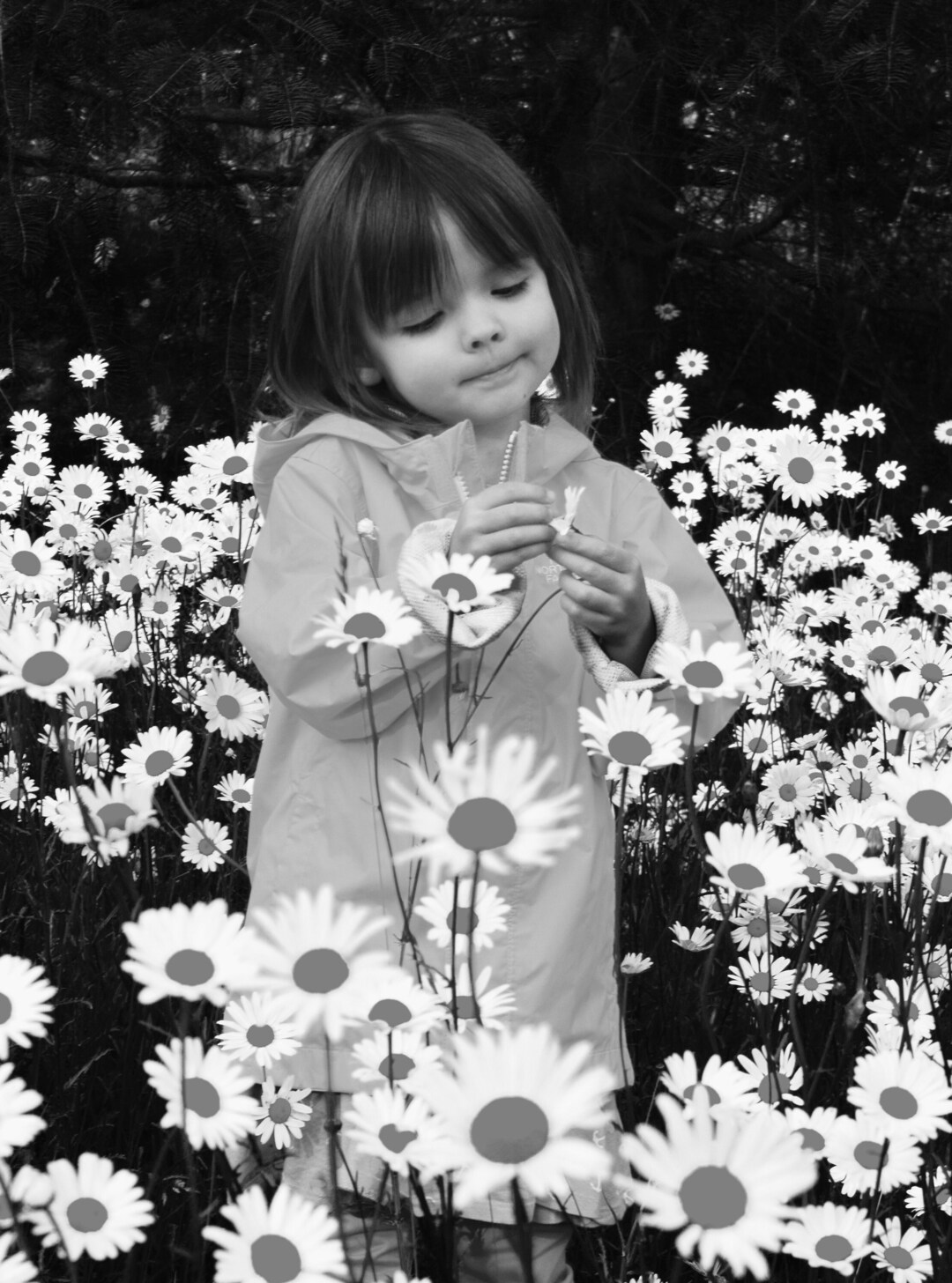 Daisy Picking Digital - Etsy