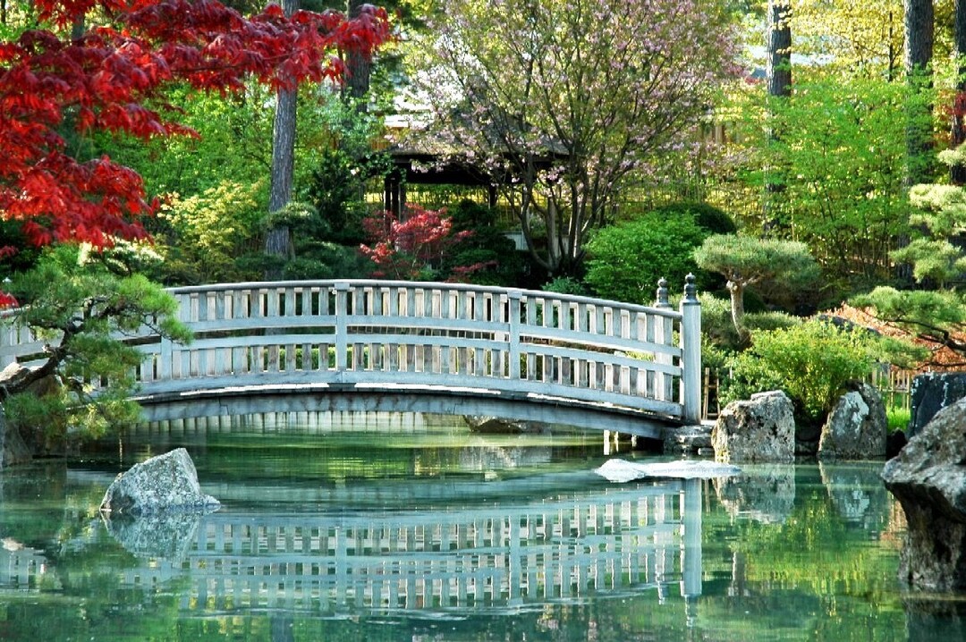 Art Photography Lilac Bridge - Digital Download - Etsy